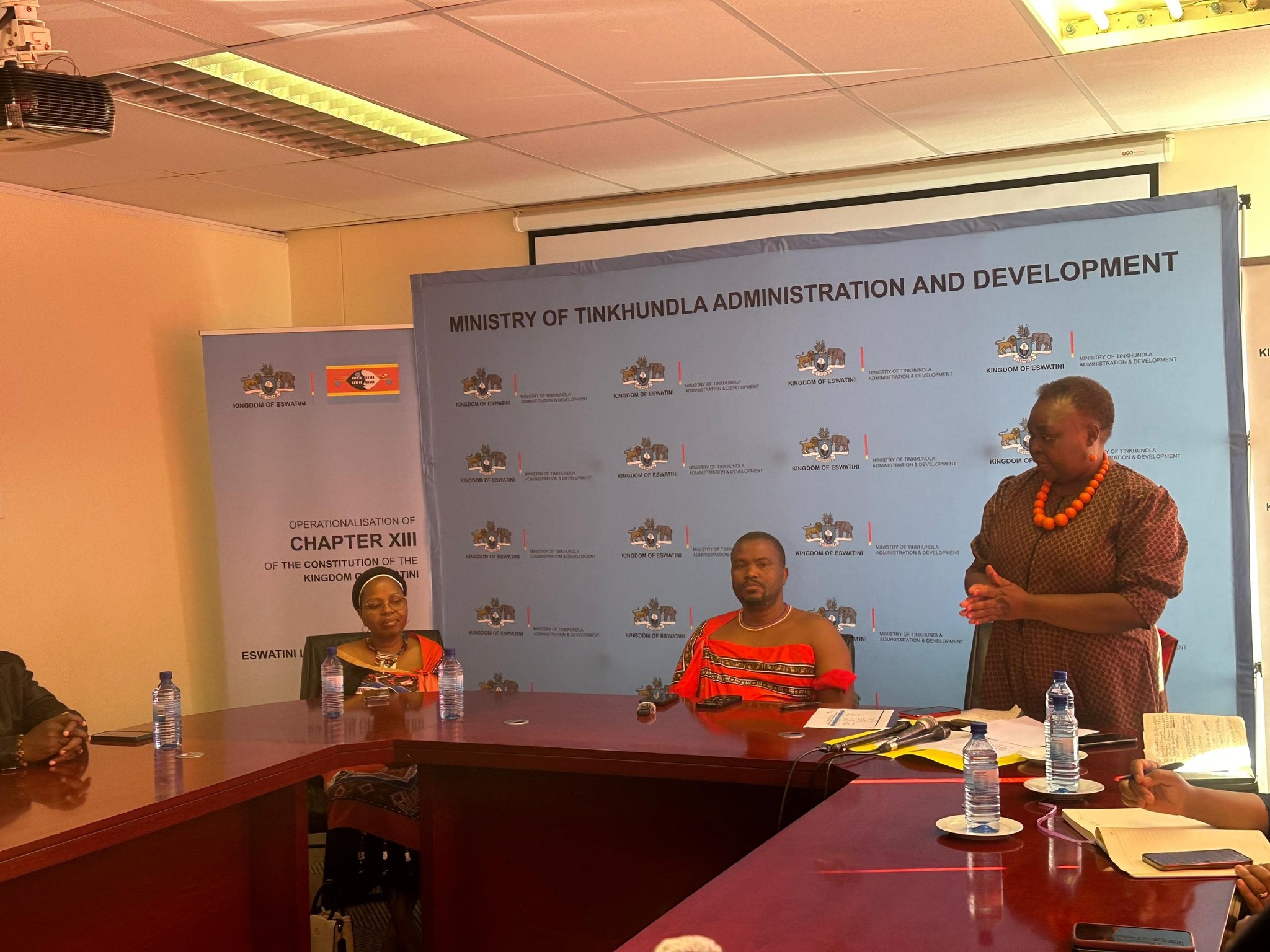 Foreign experts meet minister ahead of local government conference